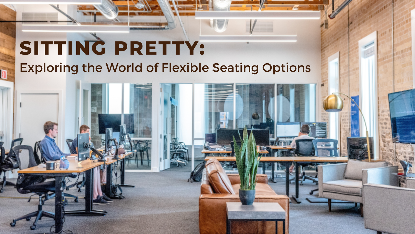 Sitting Pretty: Exploring the World of Flexible Seating Options ...
